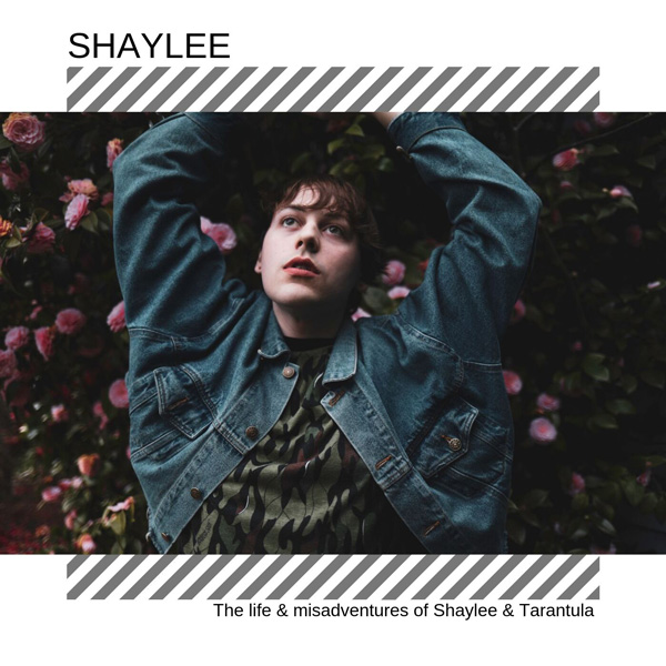 Album Release Show: Shaylee at No Fun | Vortex Music Magazine