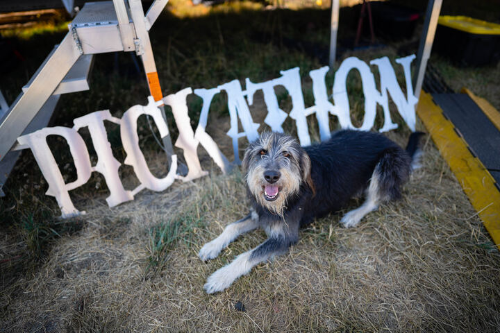 The Best Performances of Pickathon 2023 | Vortex Music Magazine